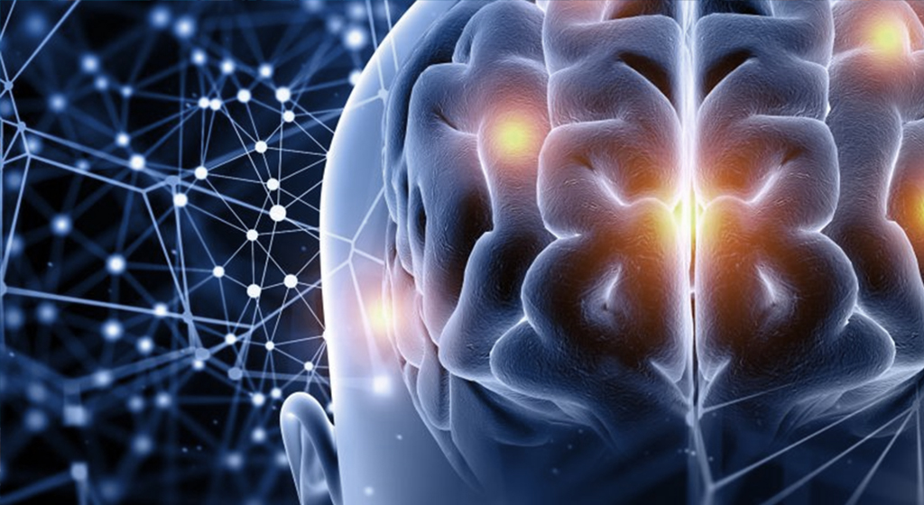 Applied Neuroscience Programmes - SAERA