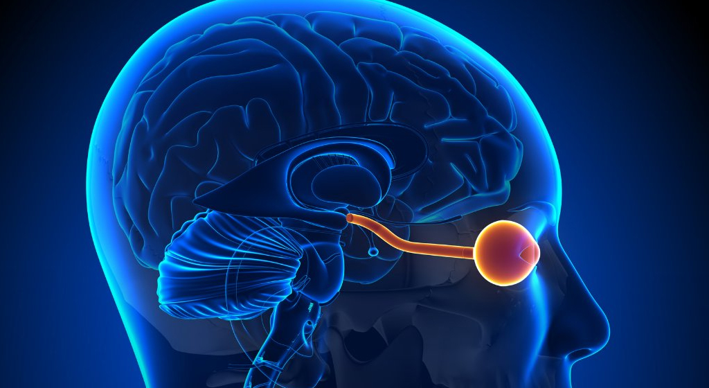 Neurosciences - Saera FR